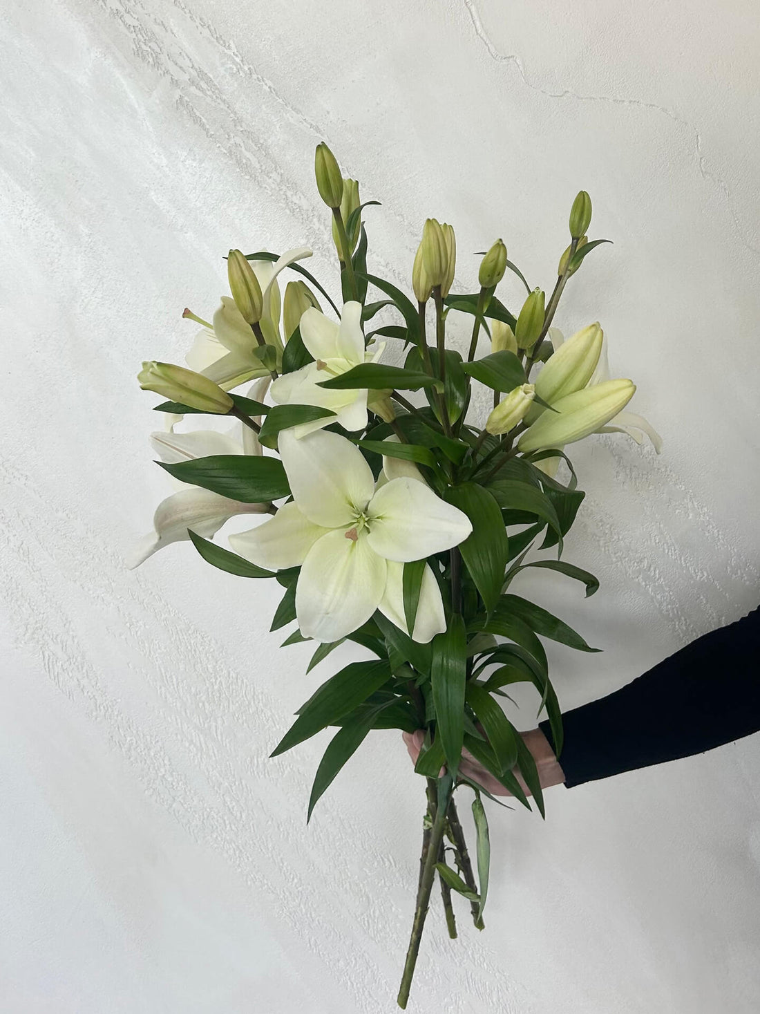 Tiger Lily Bunch – Lily West