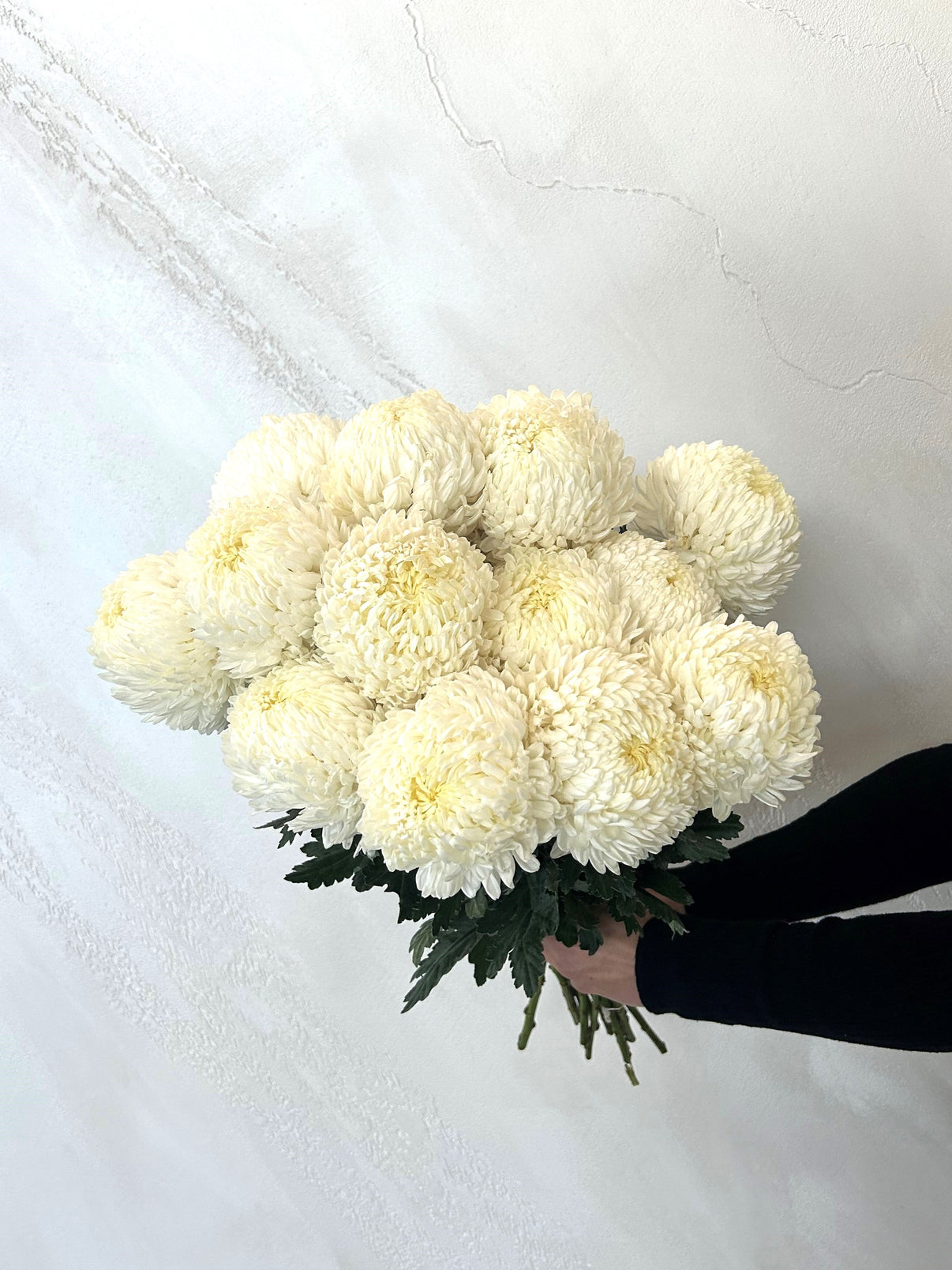 Mums Bunch – Lily West